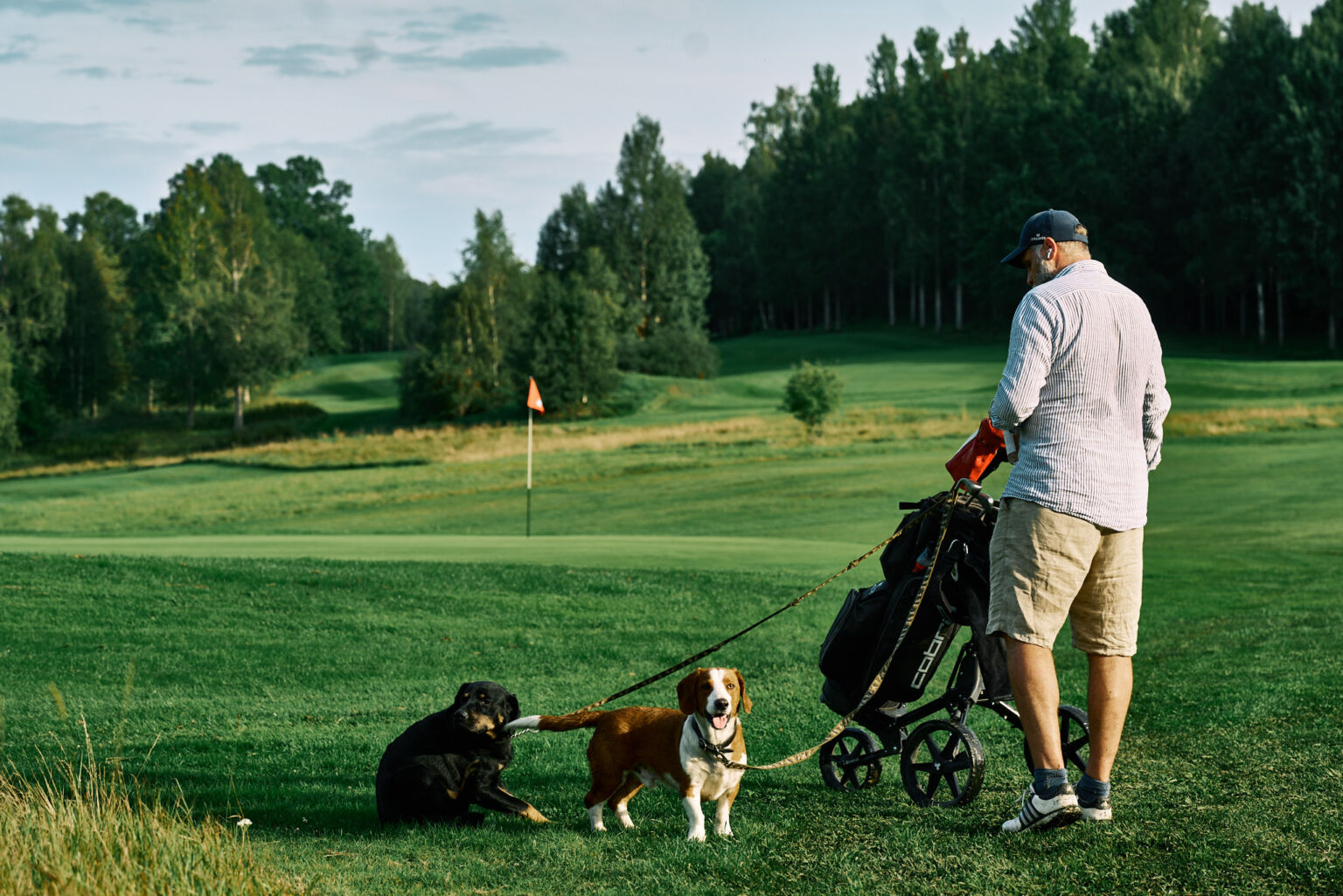 Gott nytt från teamet på Solbacka - Solbacka